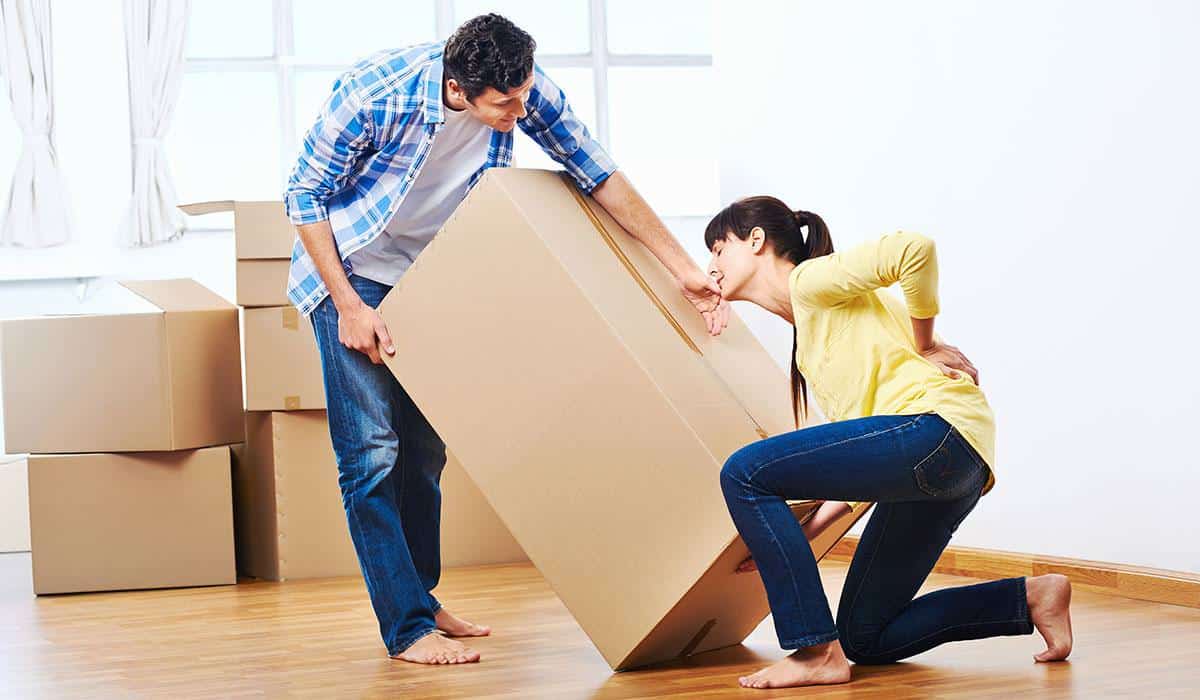 Holidays an Ideal Time for Lifting Techniques Refresher - Mckenzie ...